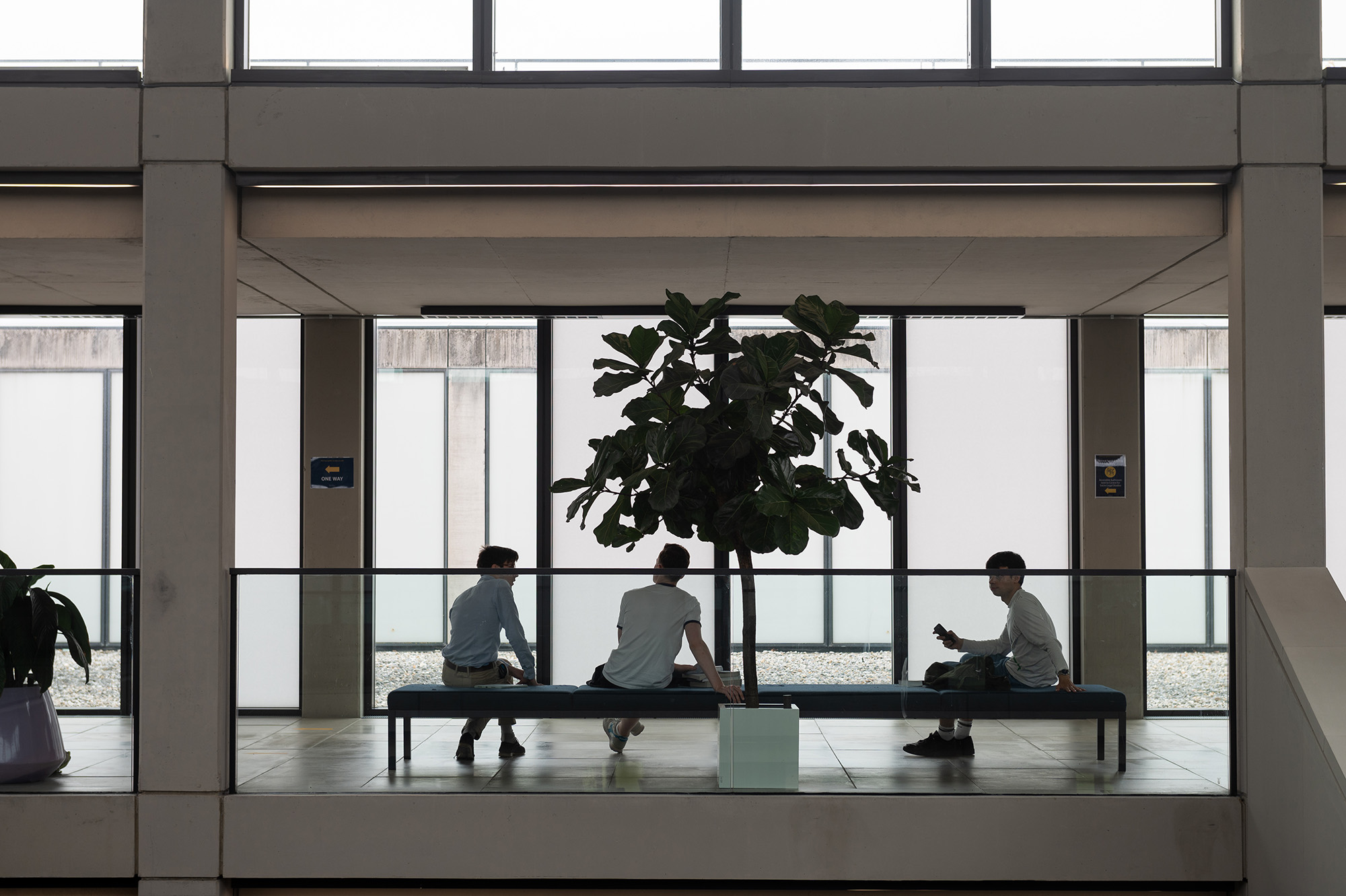 Graduate fees and funding | DPIR