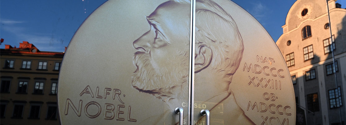 PPE Alumnus, Simon Johnson, Awarded 2024 Nobel Prize in Economics | DPIR