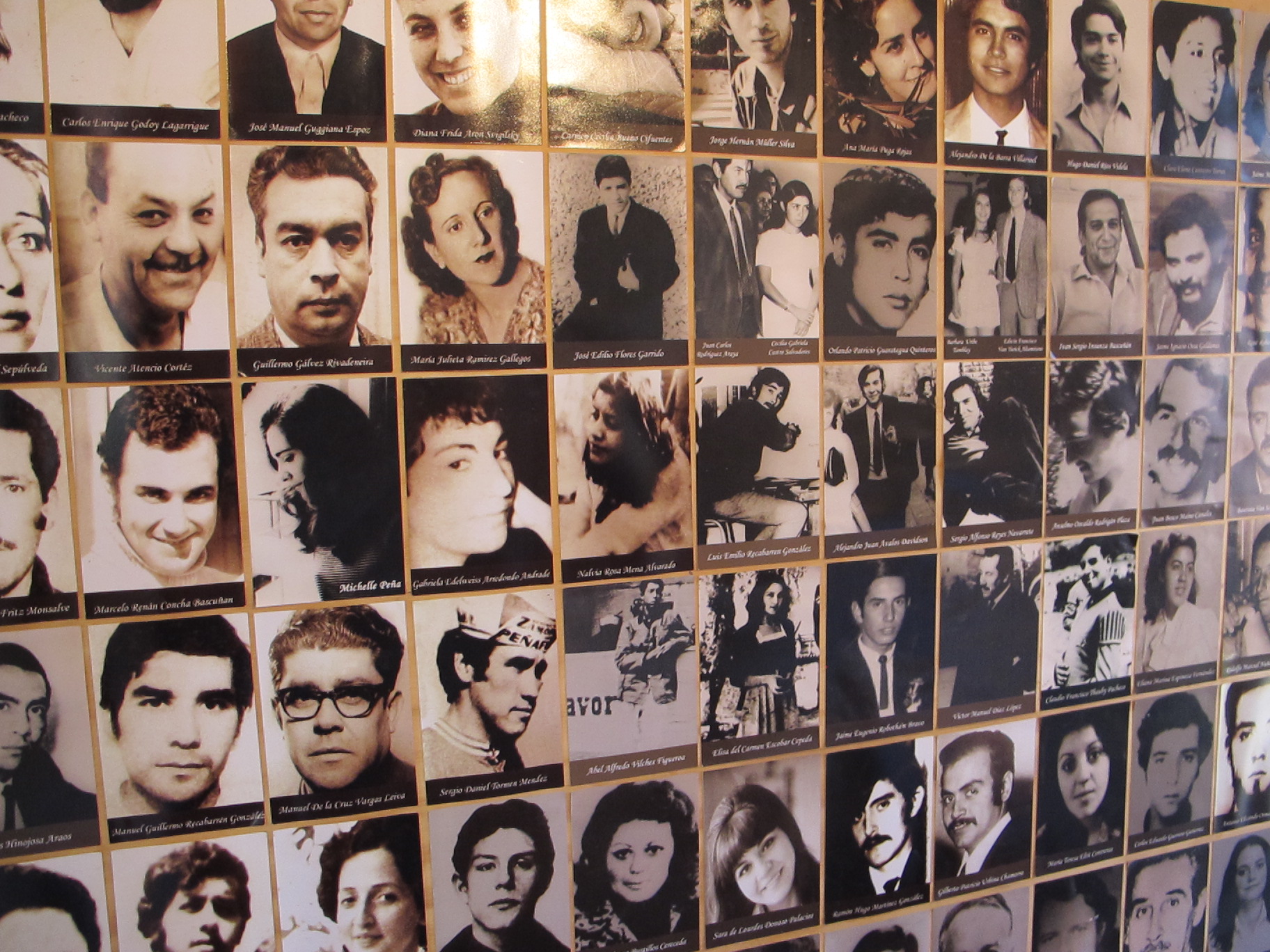 Dr Ezequiel González-Ocantos wins Donna Lee Van Cott Book Award | DPIR